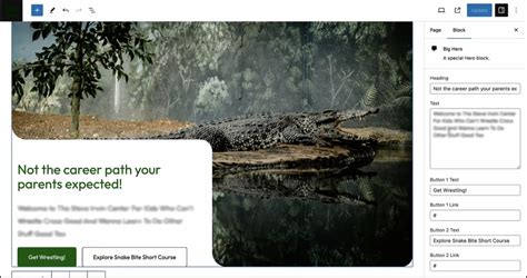 Acf Fine Tuning Your Site Custom Blocks With Acf