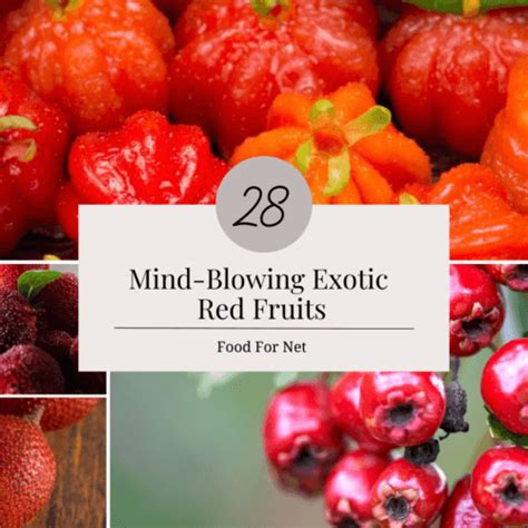 30 Exotic Green Fruits That Will Broaden Your Horizons Food For Net