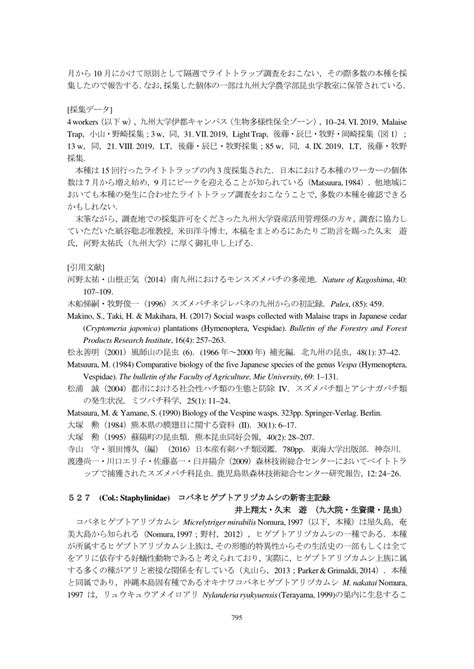 PDF コバネヒゲブトアリヅカムシの新寄主記録 A new host record for Micrelytriger