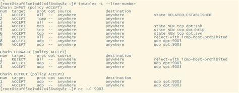 Linux How To Open Udp In Iptables On 9003 Stack Overflow