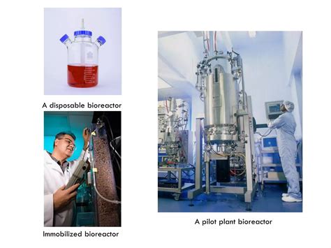 Types Of Bioreactors New Pdf