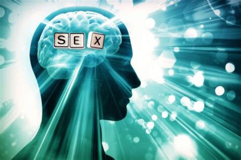 Your Brain On Sex Sex And Intimacy Coaching