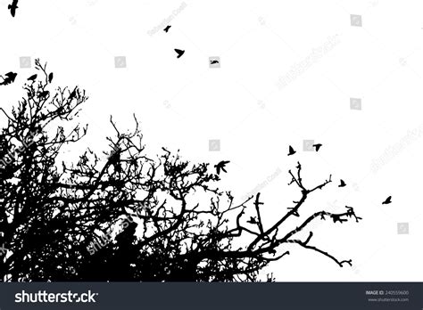 Birds Tree Vector Stock Vector Royalty Free Shutterstock