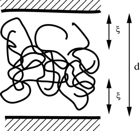 Figure 1 From Polymer Induced Phase Coexistence In Systems Of Lamellar