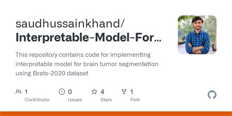 Interpretable Model For Brain Tumor Segmentation Xai Brain Tumour Segmentation Ipynb At Main
