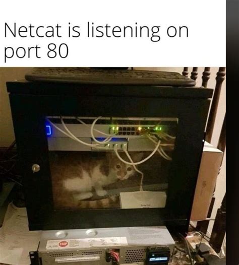 Jairaj Raman On Linkedin Netcat Networking Cybersecurity Pentesting