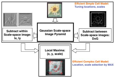 Computationally Efficient Perceptual Part Detection Scheme Download