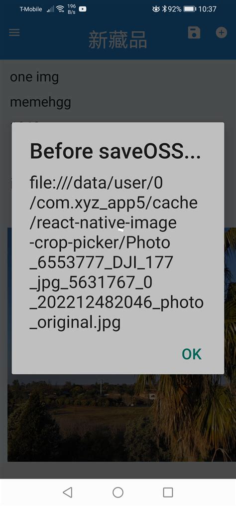 Image Picked From Gallery On Android Device Throws No Such File Or Directory When Saving To