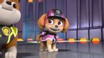 Skyegallerymission Paw Pups Save A Floating Royal Carriage Paw