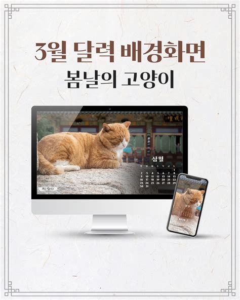 템플스테이 Templestay 3월 배경화면 봄날의 고양이 불교가 전하는 생명 존중의 가르침 다운로드 👉