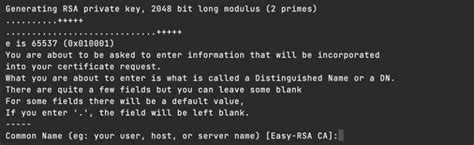 How To Install Openvpn On Docker 7 Steps Phoenixnap Kb