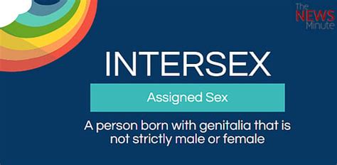 Understanding Sex And Gender They Are Connected But Not Interdependent