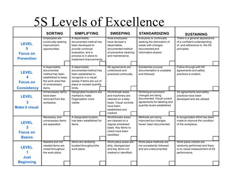 5s Levels Of Excellence Overview Pdf Business