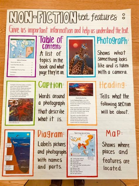 Non Fiction Text Features Anchor Chart Etsy Text Feature Anchor