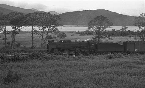 오 누 마 공원이 하코다테 혼 센 D52 증기 기관차 0명에 대한 스톡 사진 및 기타 이미지 0명 1970 1979 년 고풍스런 Istock