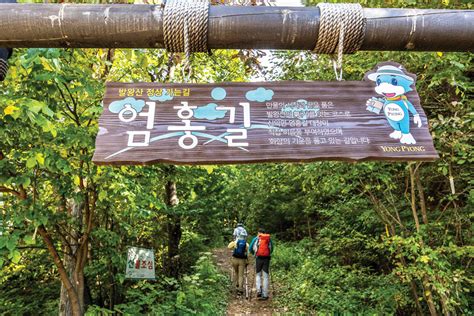 단풍 스케치 발왕산 엄홍길 사람 이름 아니고 길 이름이랍니다