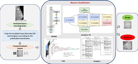 Figure 1 From Automated Breast Cancer Detection And Classification In Full Field Digital
