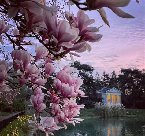 10 ყველაზე ძვირად ღირებული საკუთრება რომელსაც მსოფლიოს უძველესი და უმდიდრესი დინასტია