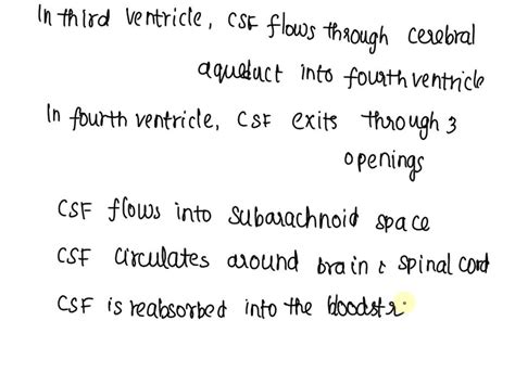 38 Csf Flow Diagram Eunicekeegan