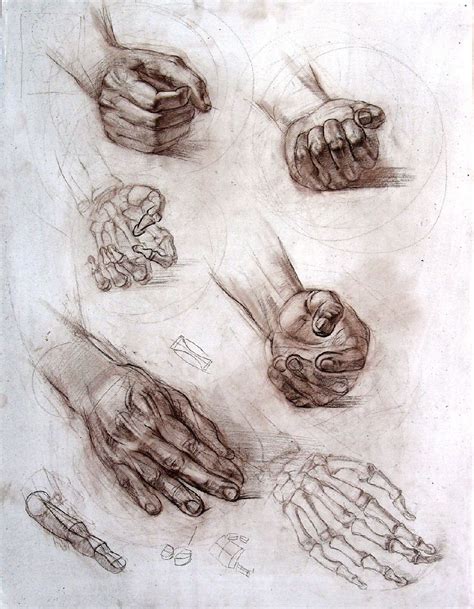 Кисть руки рисунок 24 разных вариантов ракурса как нарисовать кисть руки карандашом поэтапно
