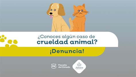 Fiscalía Del Estado