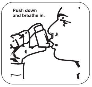 Albuterol Aerosol Package Insert Prescribing Information