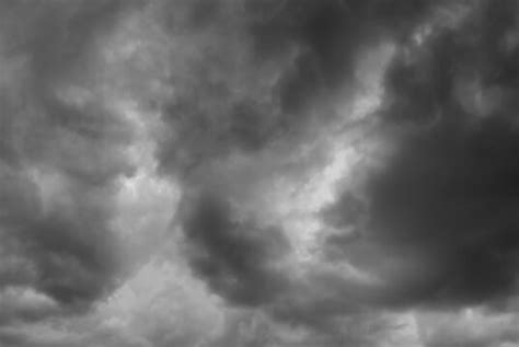 รูปภาพrainny เลือกดูภาพถ่ายสต็อก เวกเตอร์ และวิดีโอ1699 Adobe Stock