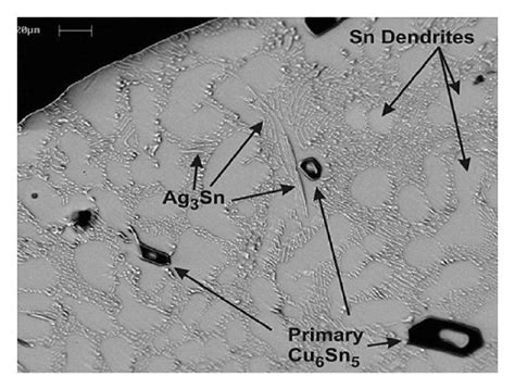 The Microstructure Of Snagcu Solder [69] Download Scientific Diagram
