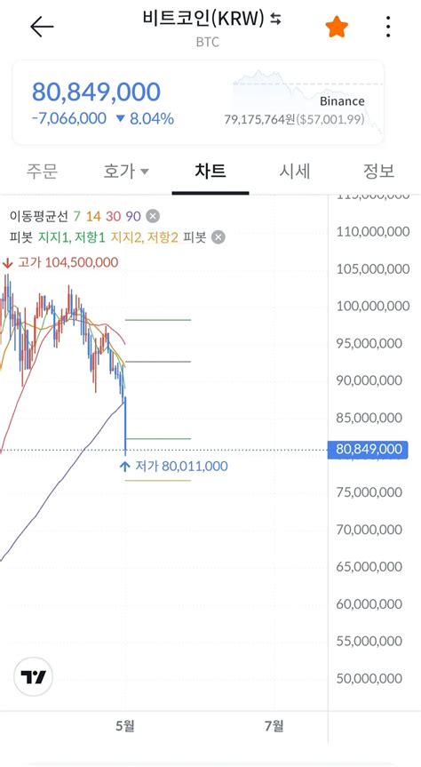 비트코인 차트로 보자 패턴이 보인다 코인니스