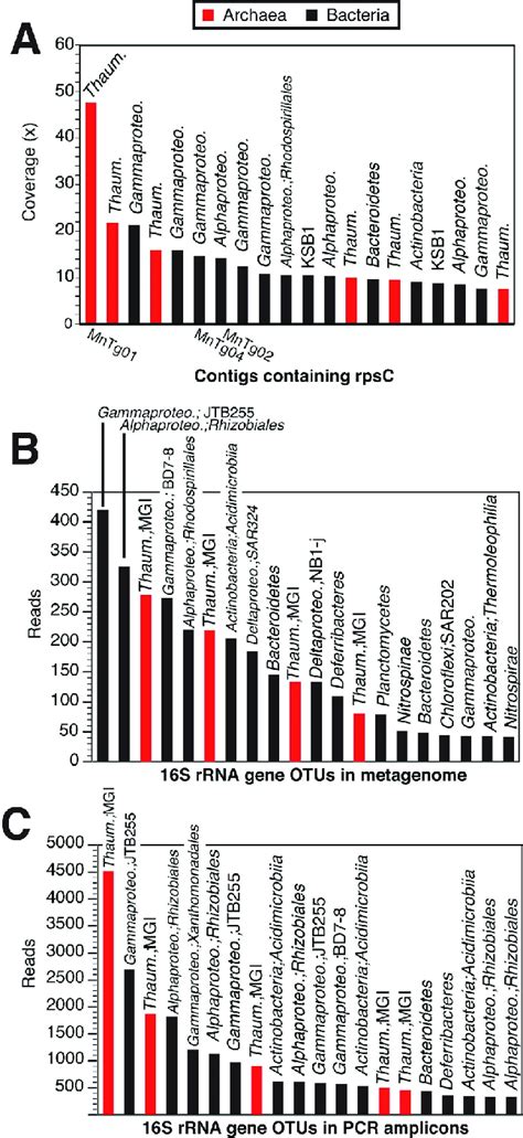 Rank Abundant Plot For Phylogenetic Marker Genes A Read Coverage Of Download Scientific