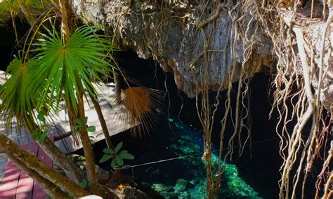 Dos Palmas Cenote Cave Ha Diving Mexico