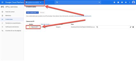 Cómo restringir la clave API de Google Platform Zetly com