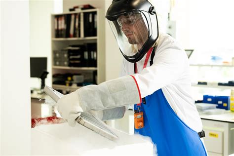 Extracellular Matrix Structure And Functions Abcam