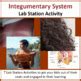 Integumentary System Lab Station Activity By Teach With Fergy TpT