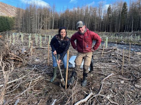 Jillian Owen On Linkedin Apachetreegrant Keepscotlandbeautiful Scotland Esg