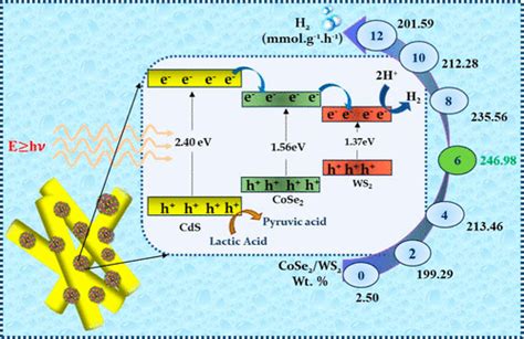 Interfacial Heterojunction Formation Modulating The Charge Carriers Pathway Of Cds Cose2 Ws2