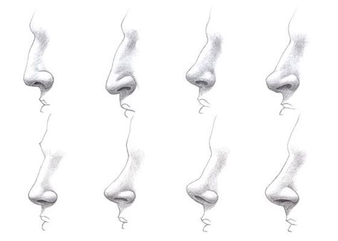How To Draw A Nose Side View