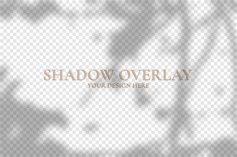 목업을 위한 식물 또는 나무 가지와 잎의 흐릿한 실제 그림자 오버레이 효과 프리미엄 Psd 파일