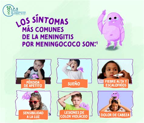 Los Síntomas Mas Comunes De La Meningitis Por Neumococo