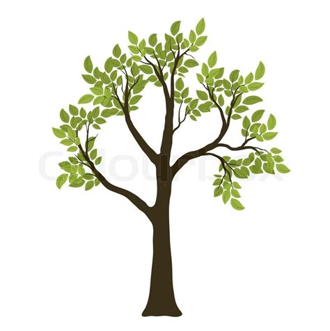 Green Vector Tree Nature Symbol Stock Vector Colourbox