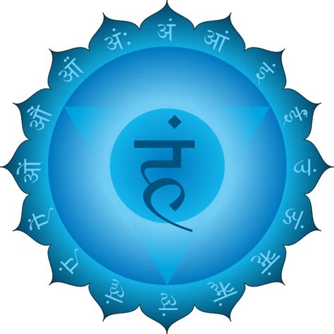 Lotus Spirit Анатомия на финото тяло чакрите