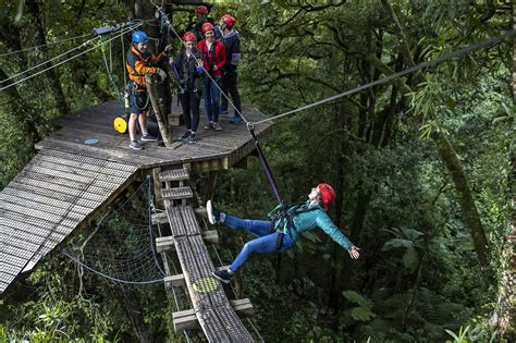 Canopy Tour Zipline Forest Adventure In Rotorua Klook