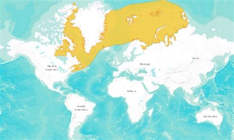 Harp Seal Biome