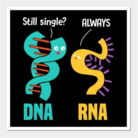Dna Rna Biology By Ninetee Science Cartoons Biology Drawing Biology