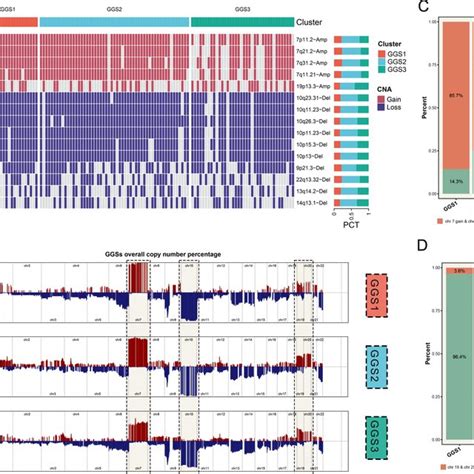 The Differences In Copy Number Variations And Frequency Between Ggss Download Scientific