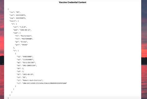 GitHub Webshield Dev Eudvcdecoder Decodes EU Digital COVID Certificates Sometimes