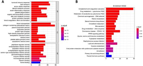 go and kegg pathway enrichment analyses of degs using clusterprofiler
