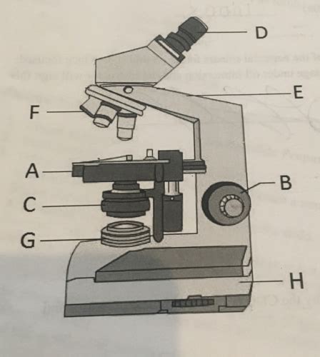 Micro Lab Final Labeling Flashcards Quizlet
