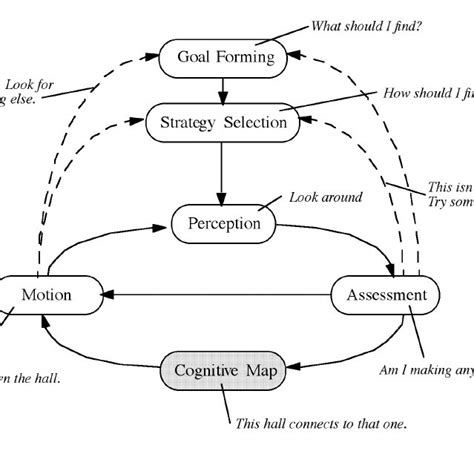 Pdf Spatial Orientation Wayfinding And Representation
