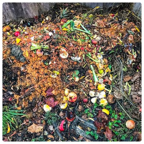 The Dos And Donts Of Composting An Essential Guide